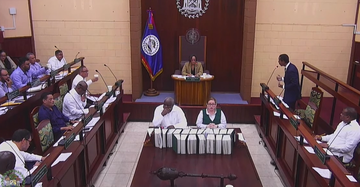 Home | National Perspective Belize